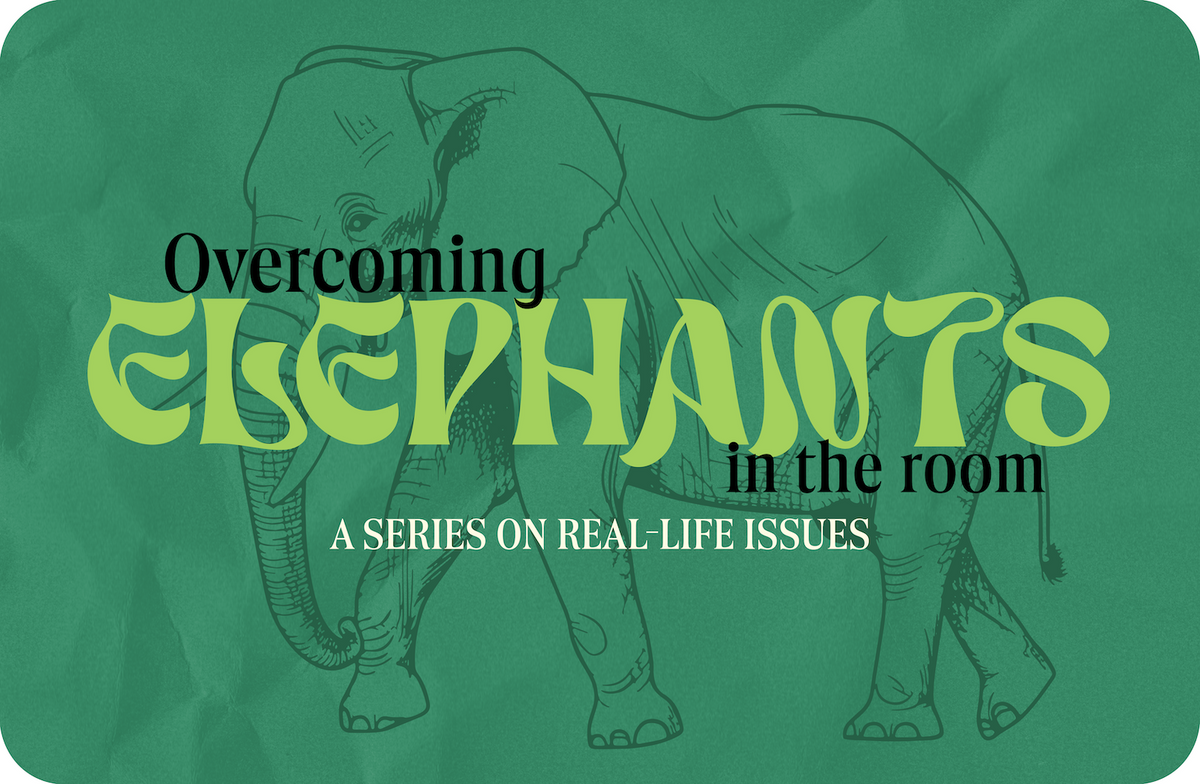 Overcoming Elephants in the Room – Teaching Series — YM360