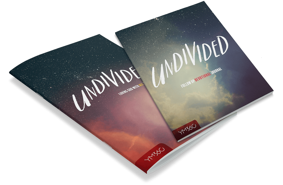 Undivided Book Bundle — YM360